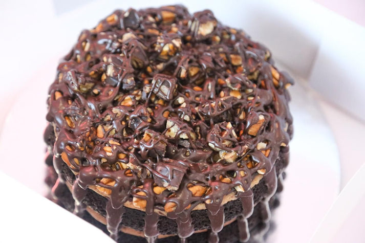 Pastel Tortuga – SuculentaReposteria